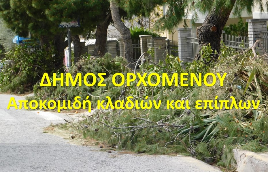 Δήμος Ορχομενού Βοιωτίας – Ο επίσημος ιστότοπος του Δήμου Ορχομενού ...